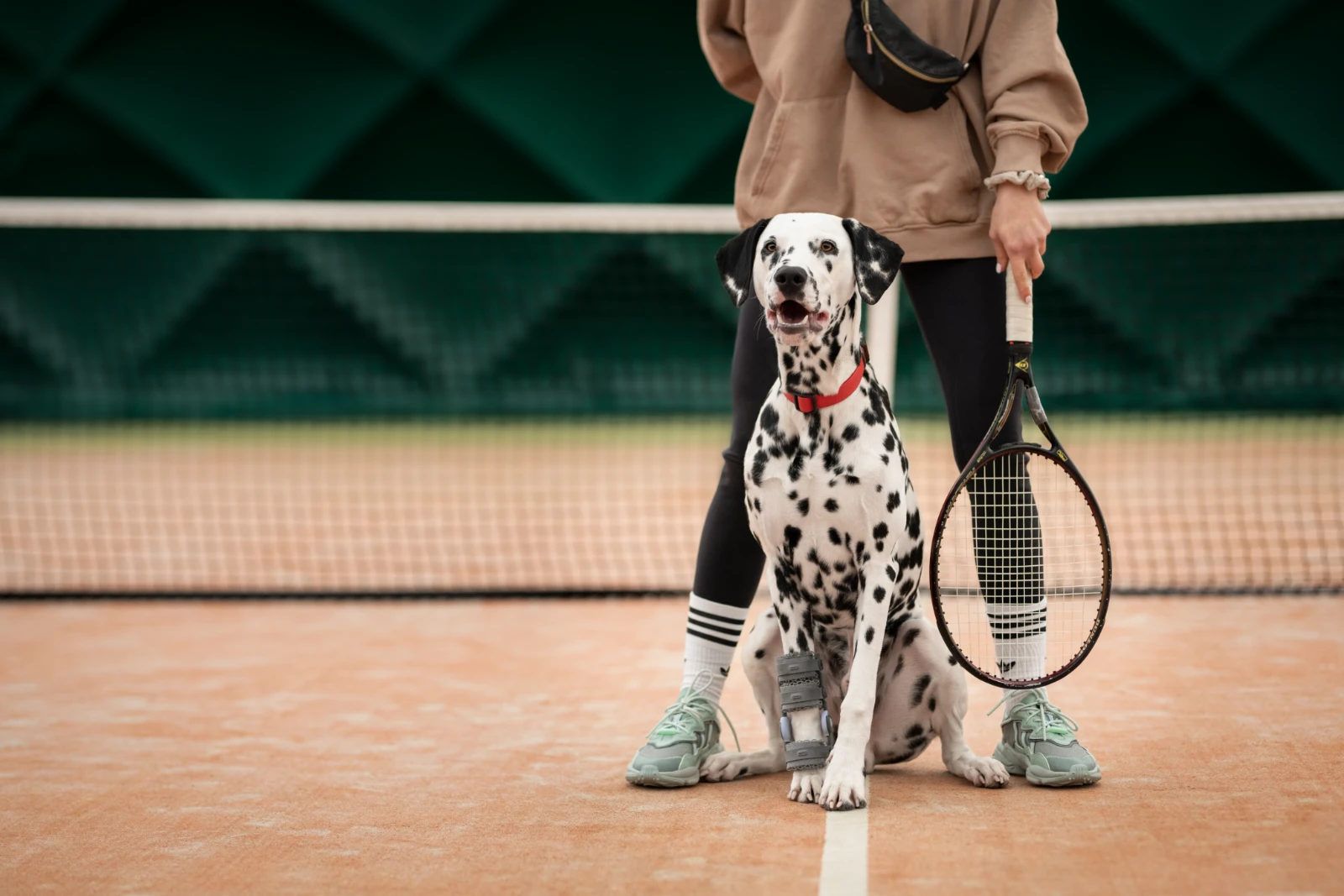 Nupsala and WIMBA Forge Partnership to Enhance Veterinary Care - Nupsala